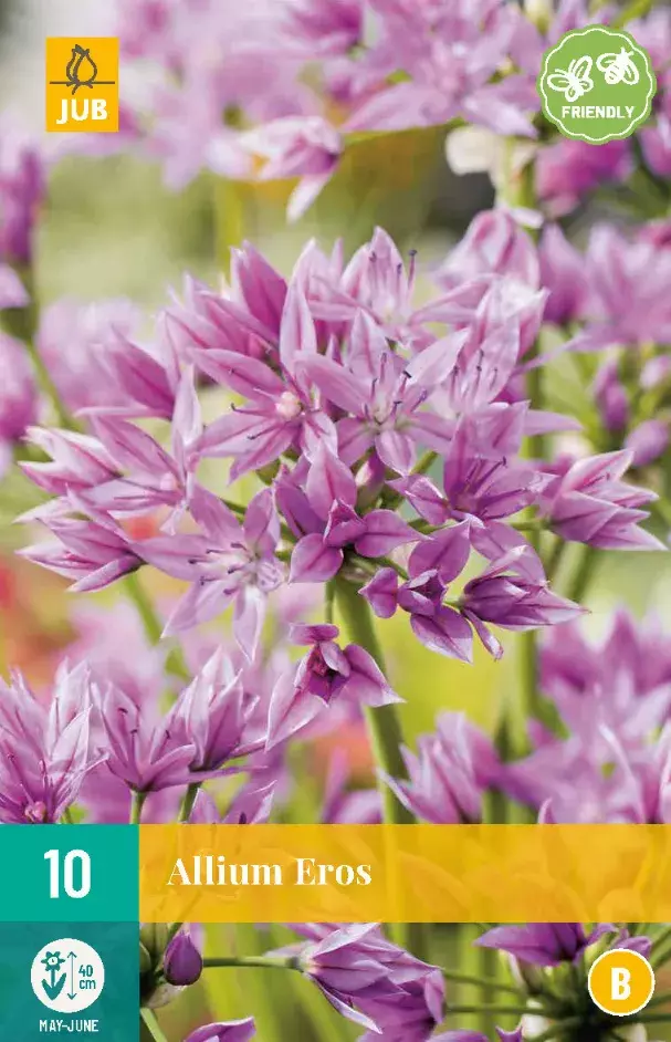 Allium Eros - Tuincentrum van Ee - Groot assortiment aan Groen!
