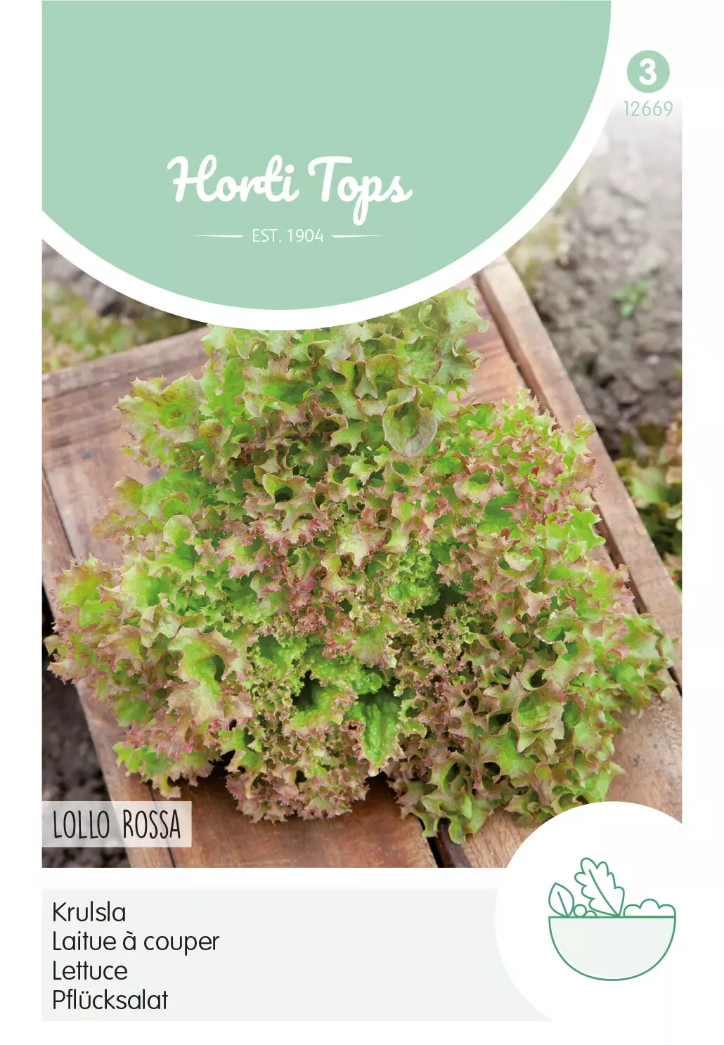 Krulsla, Lollo Rossa - Tuincentrum van Ee - Groot assortiment aan Groen!