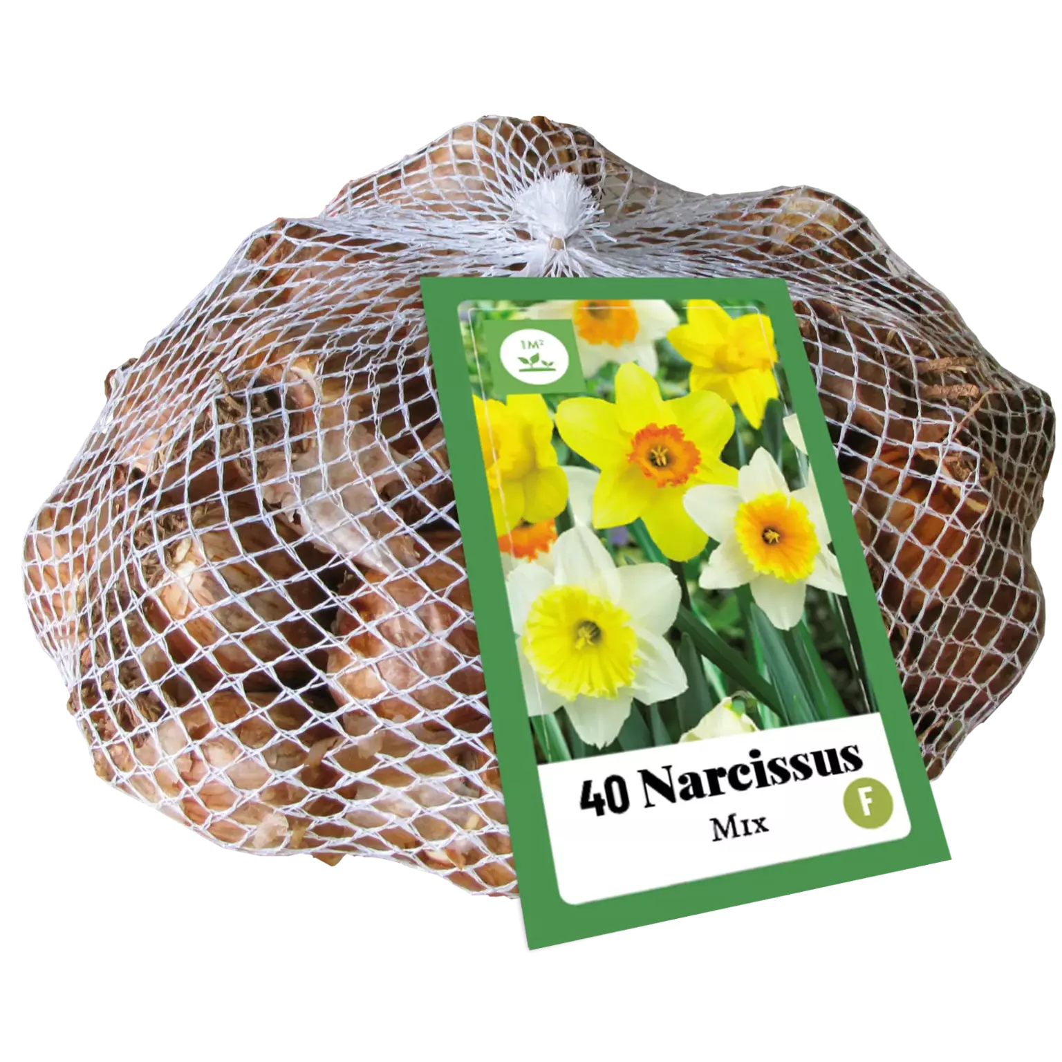 Narcissus Mix - Tuincentrum van Ee - Groot assortiment aan Groen!