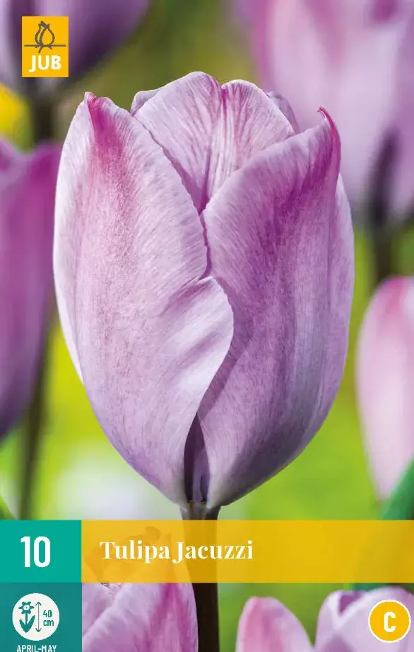 Jacuzzi - Tuincentrum van Ee - Groot assortiment aan Groen!